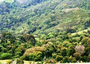 Protected areas | Burundi Biodiversity