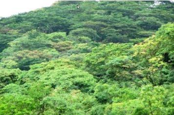 Zones protégées | Biodiversité du Burundi