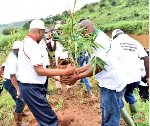 Le Burundi célèbre la journée nationale de l'arbre | Biodiversité du ...